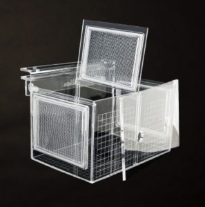 SL Aqua- Isolation/ Acclimation Boxes #6 – Advanced Aquatic Ecosystems ...